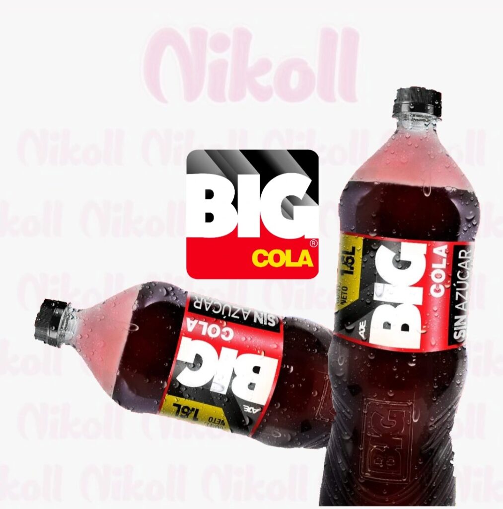 BIG COLA NEGRA 1.7L X 8
